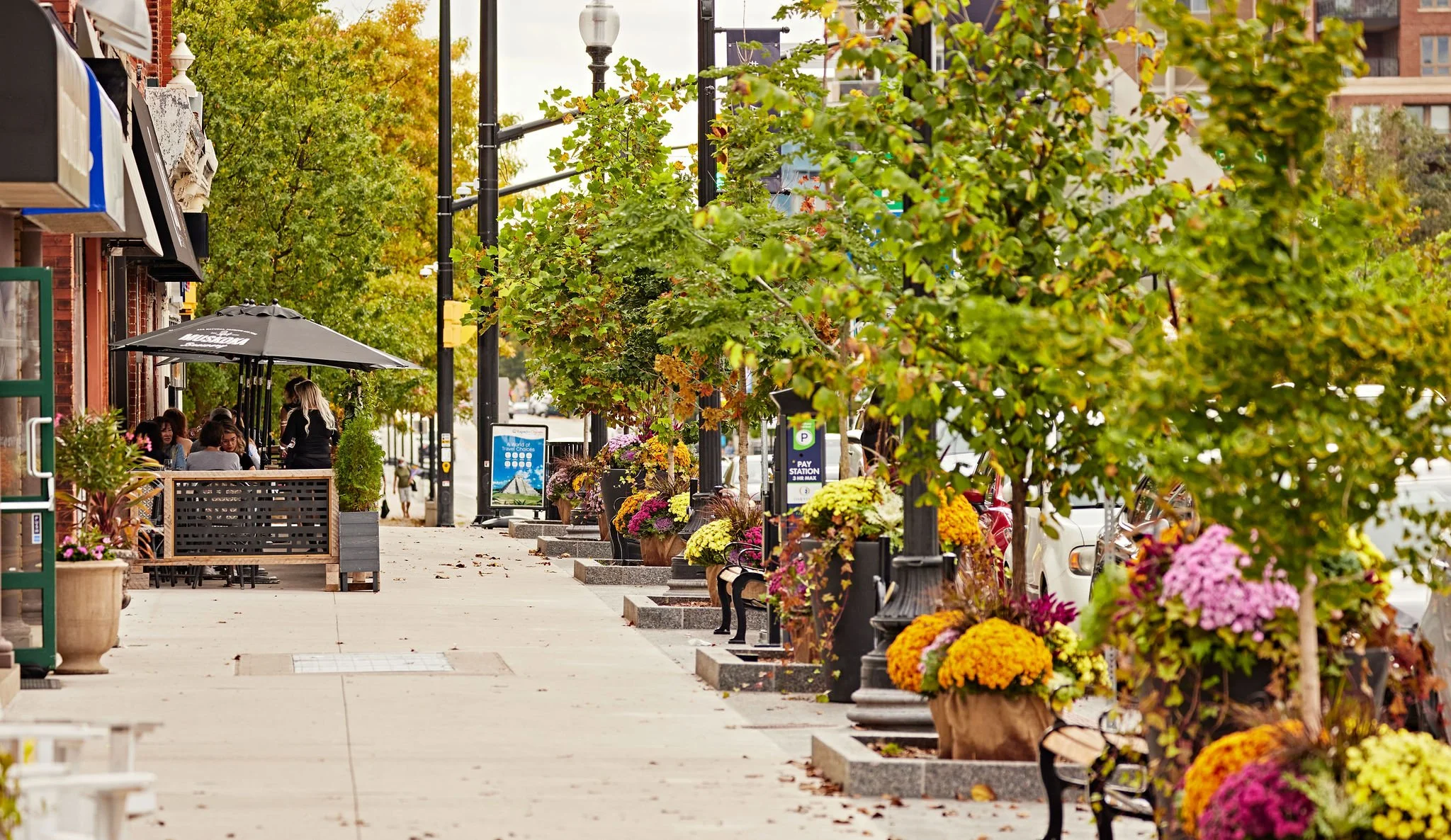 Downtown Oakville Lakeshore Road Streetscape — Brook McIlroy