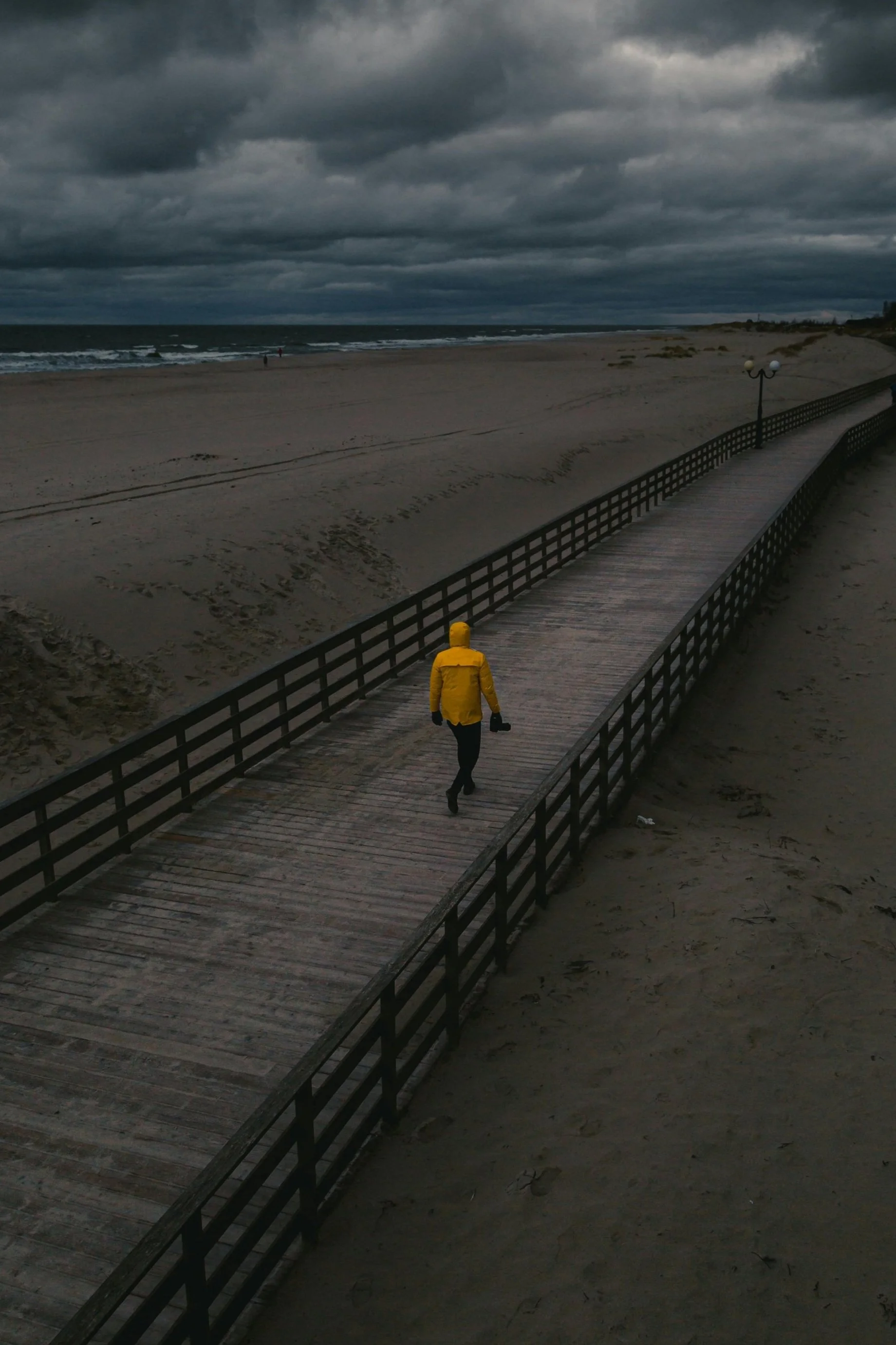 6 Common Behaviors that are Trauma Responses — Powers Counseling