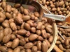 Pecans - Missouri Grown — Heritage Valley Tree Farm