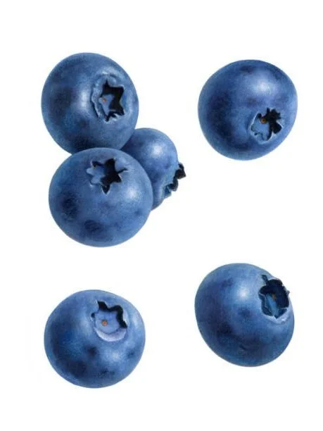Bloom Bagels