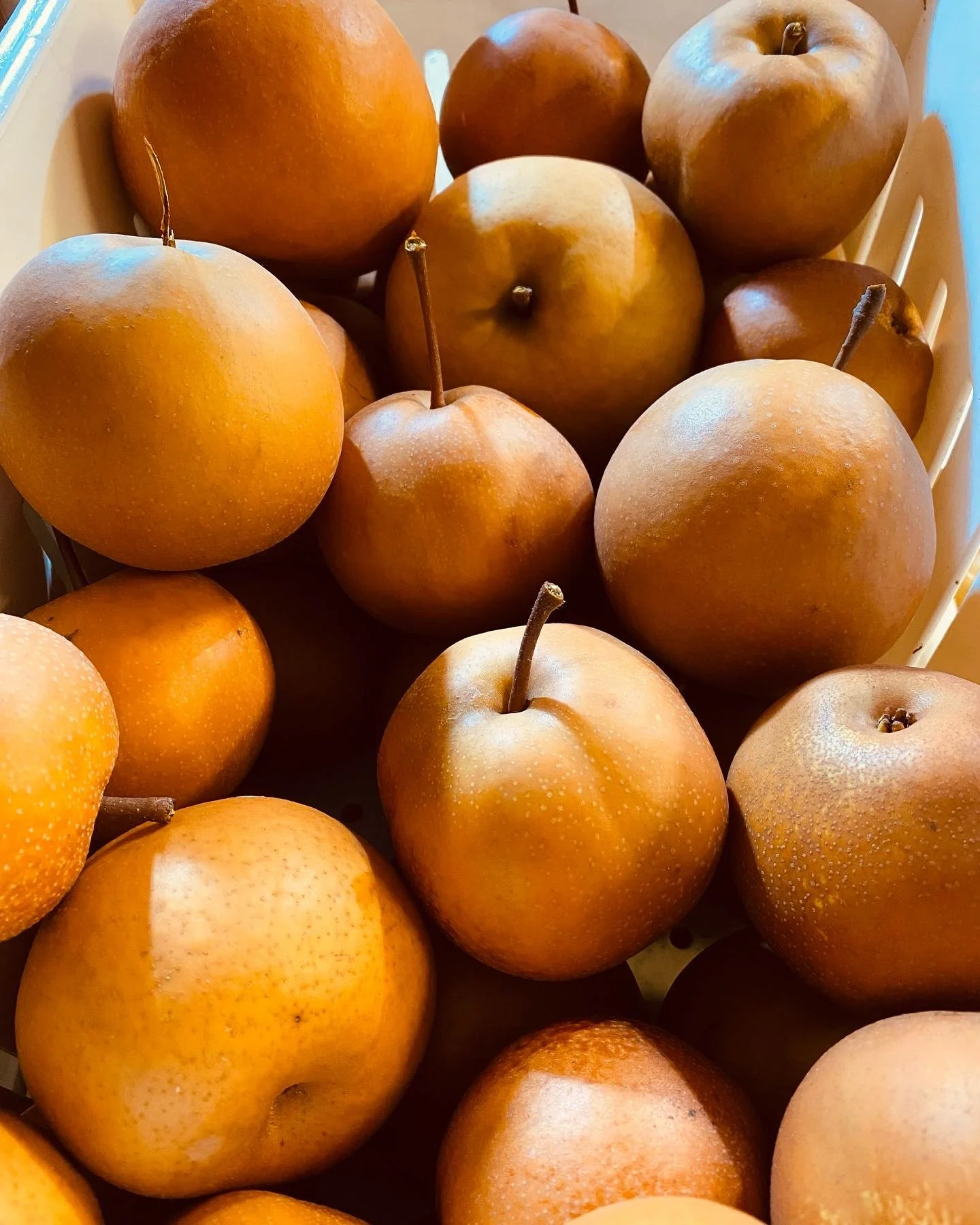 Virginia Gold Orchard | Fresh Fruits | Flowers | Farm Pantry | Lavender ...