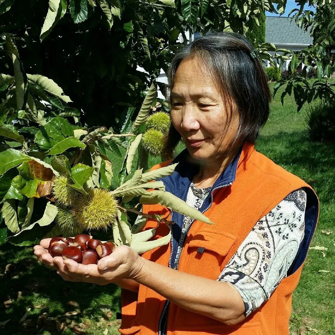 Virginia Gold Orchard | Fresh Fruits | Flowers | Farm Pantry | Lavender ...