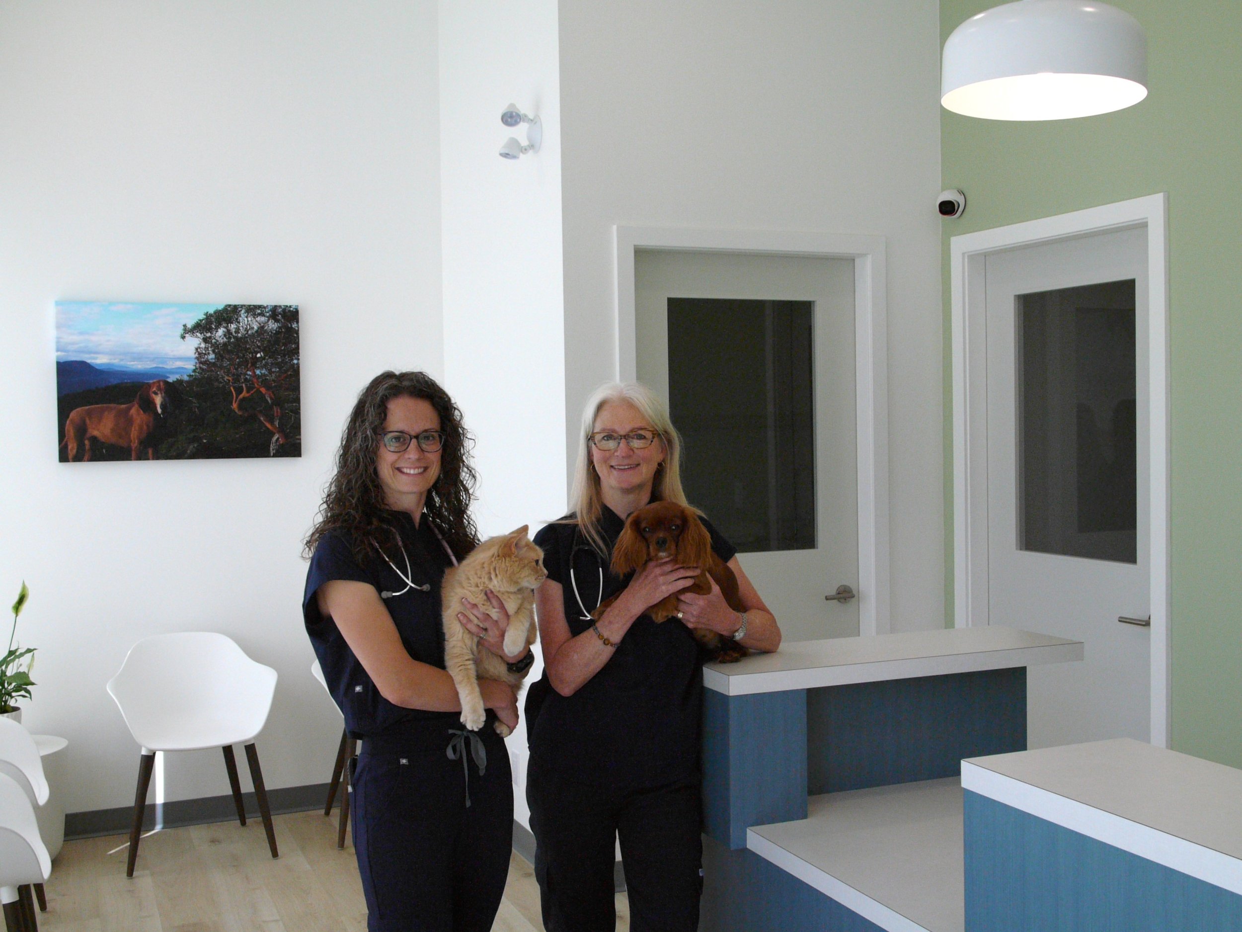 Peninsula Veterinary Hospital - Sidney, BC - Accepting New Patients!
