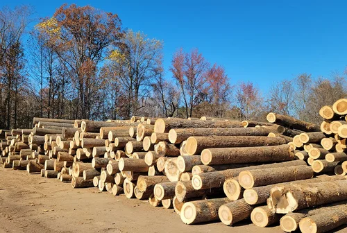 Meherrin River Forest Products