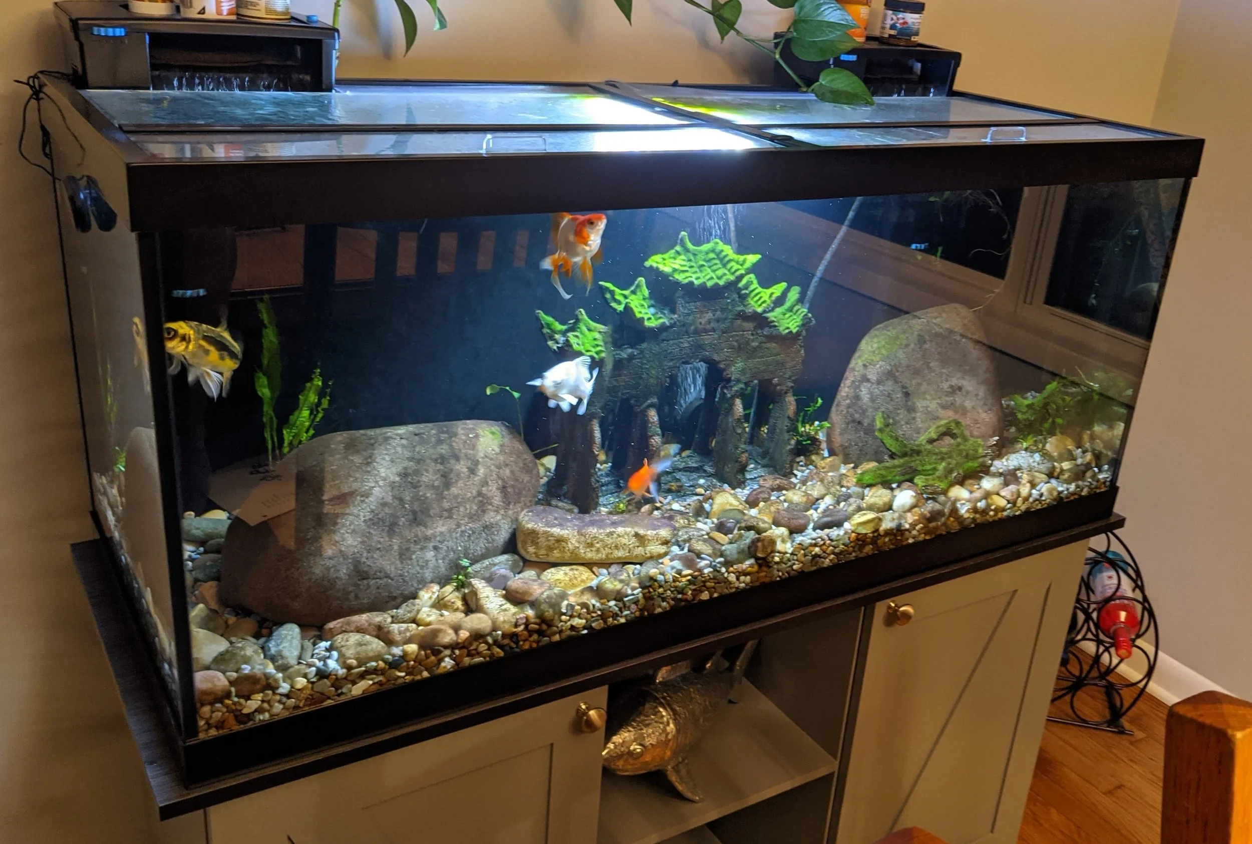 Aquatic Utopia 630-492-0179