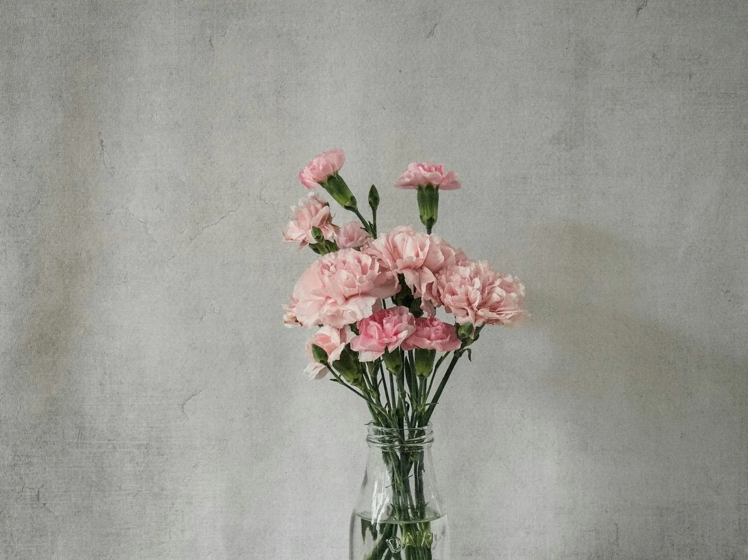 What Does The Carnation Flower Mean? All You Need To Know — Royal Blooms