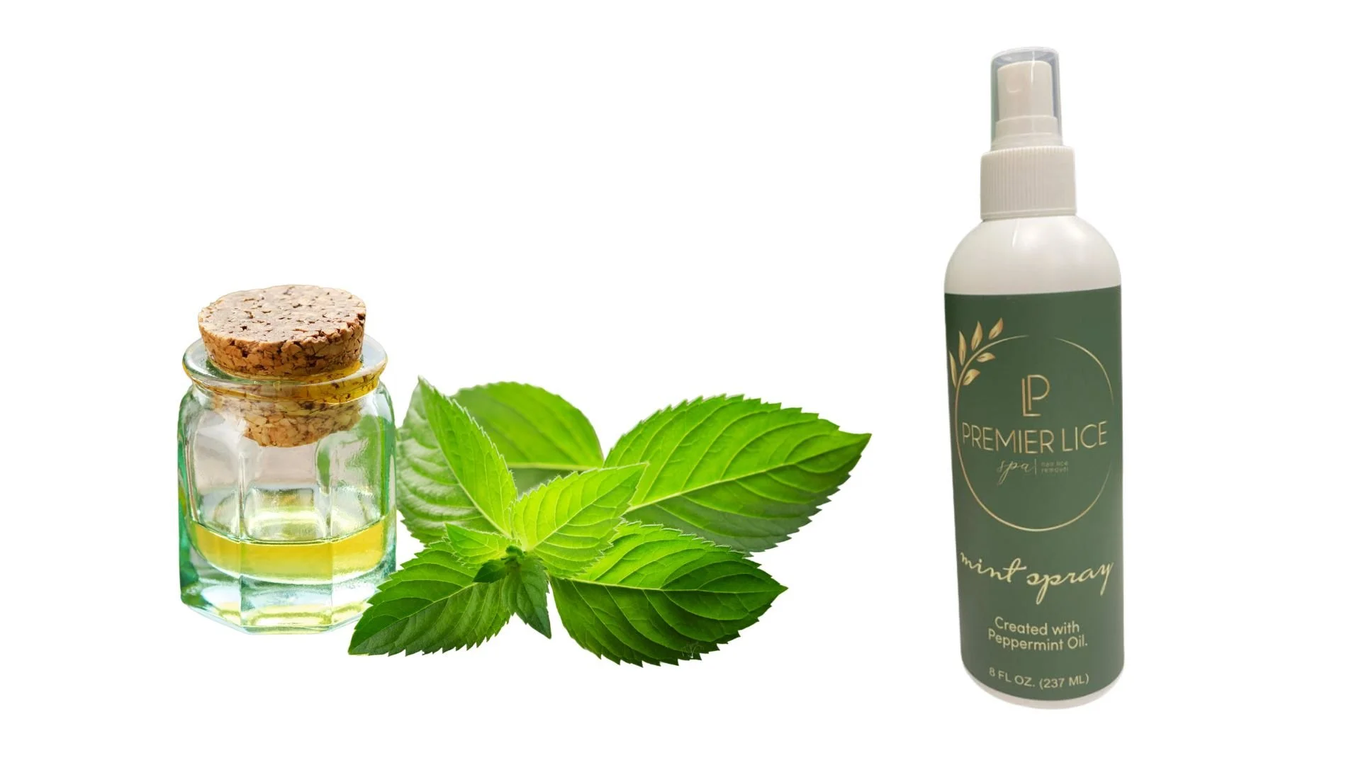 FAQs | Professional Lice Treatment | Premier Lice Spa — premierlicespa.com