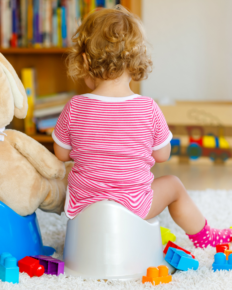 Programs | Toilet Training & Social Skills — WBHS