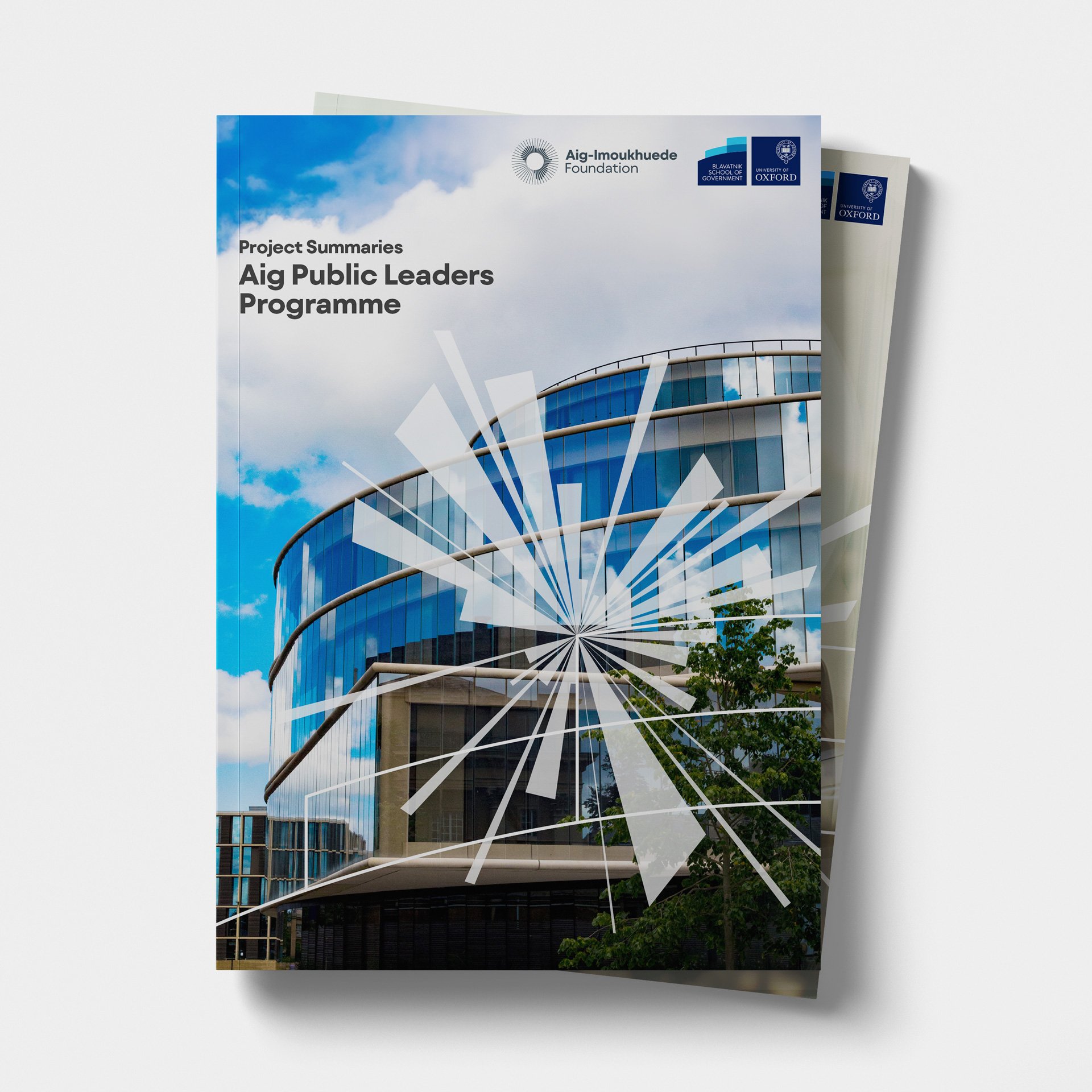 AIG Public Leaders Programme - Aig-Imoukhuede Foundation