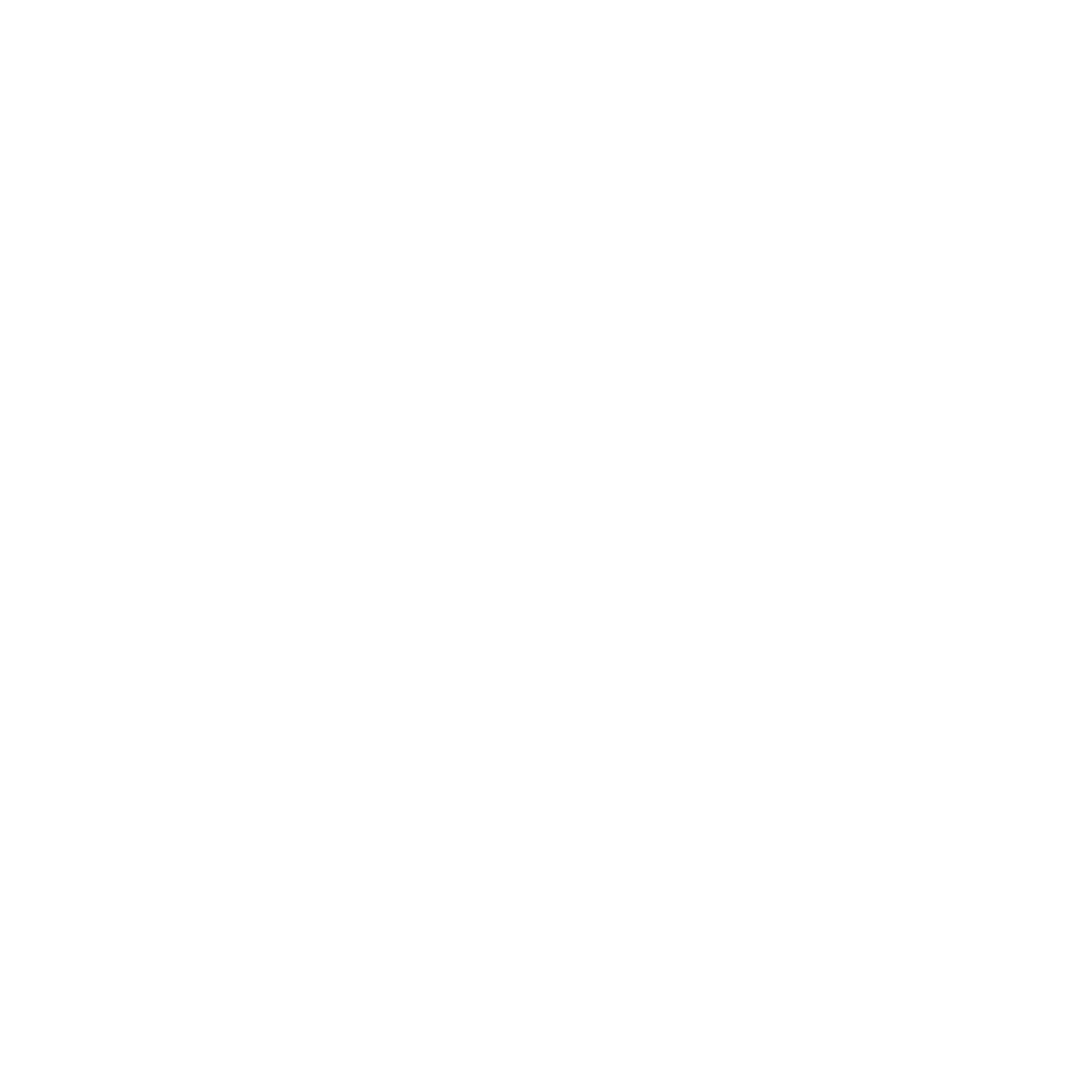 AIG Public Leaders Programme - Aig-Imoukhuede Foundation