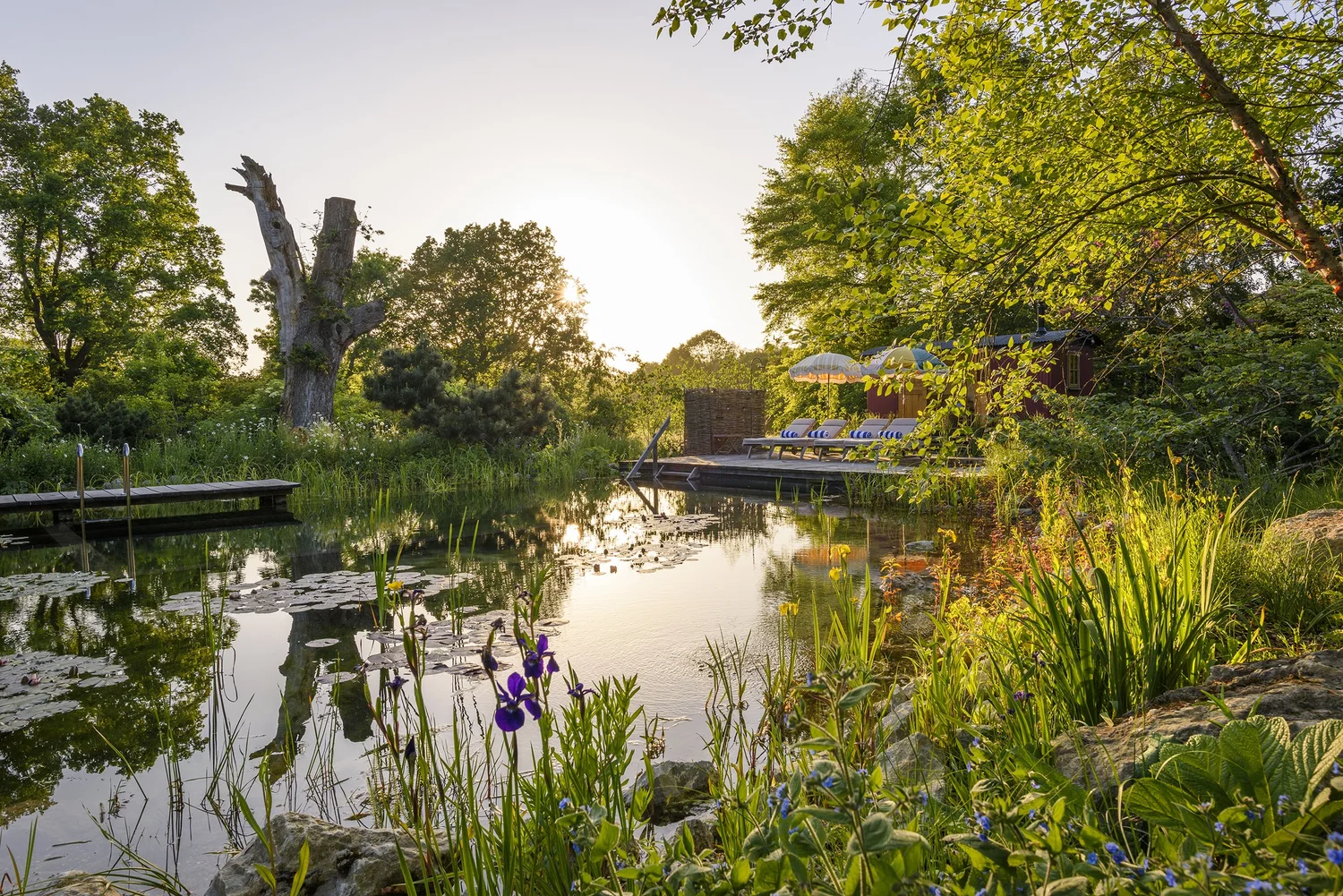 Matthew Childs Design