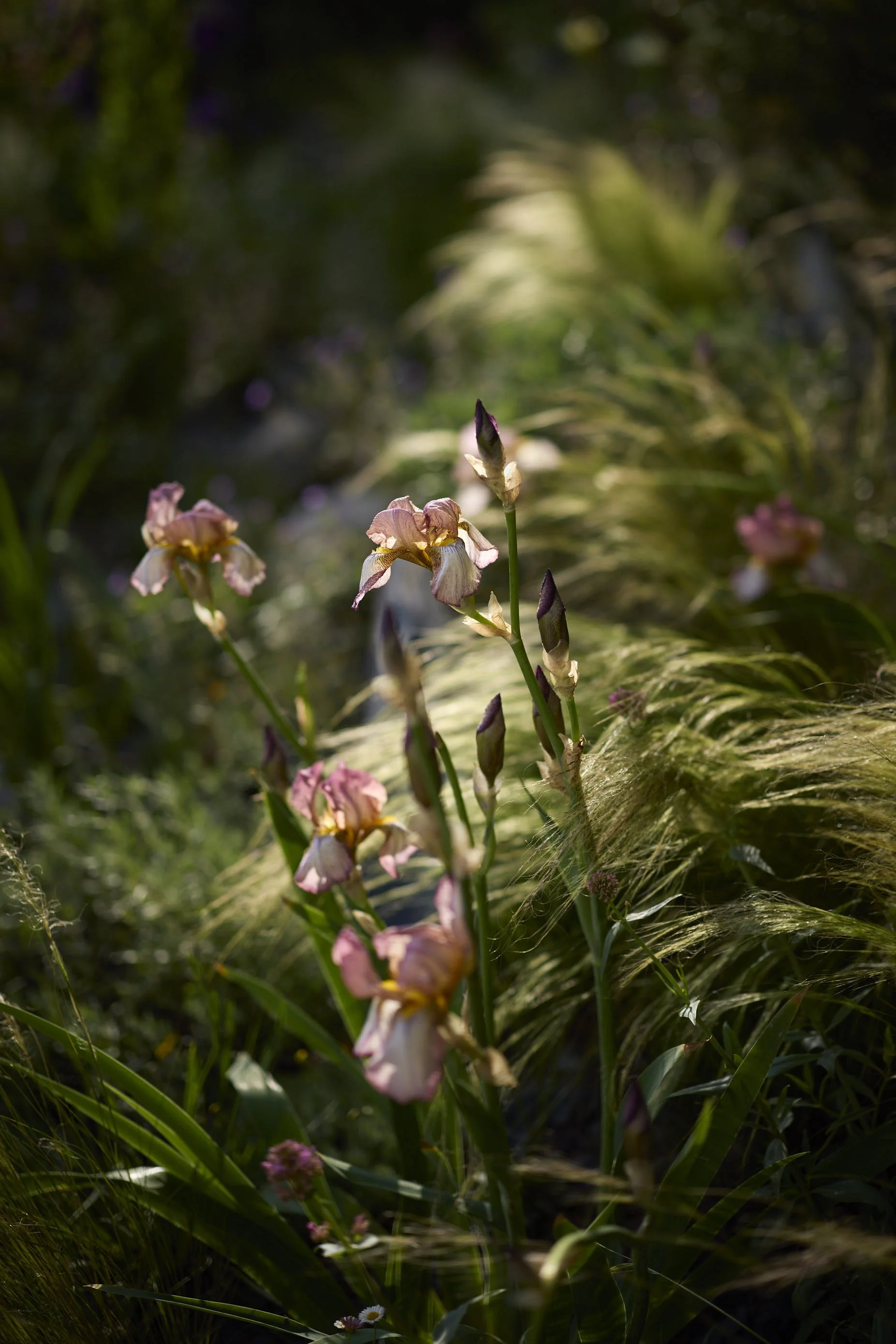 Matthew Childs Design