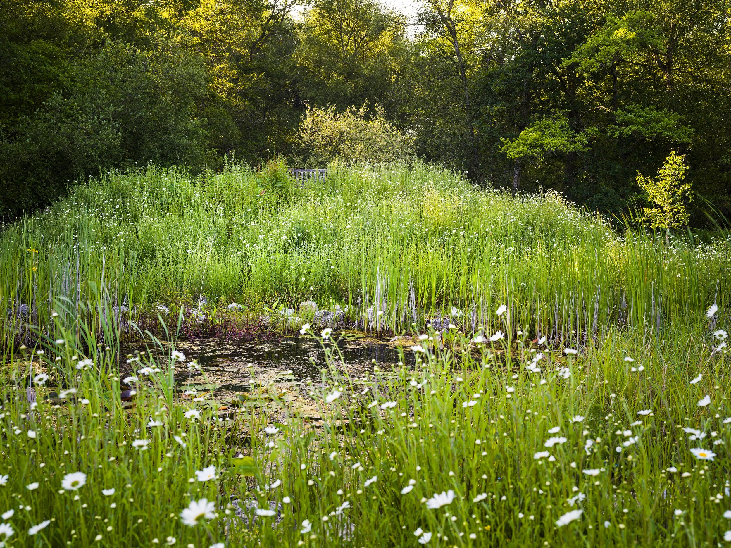 Matthew Childs Design