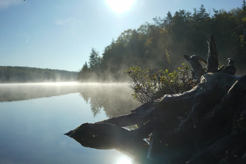 Fondation Chelsea Foundation | Chelsea, QC