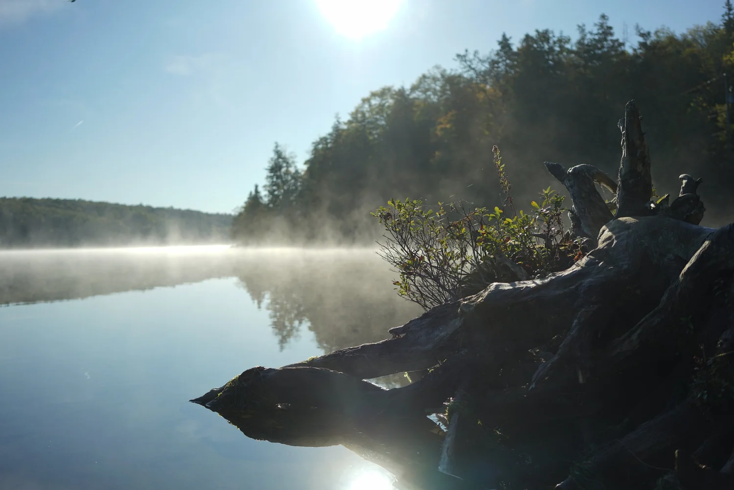 Fondation Chelsea Foundation | Chelsea, QC