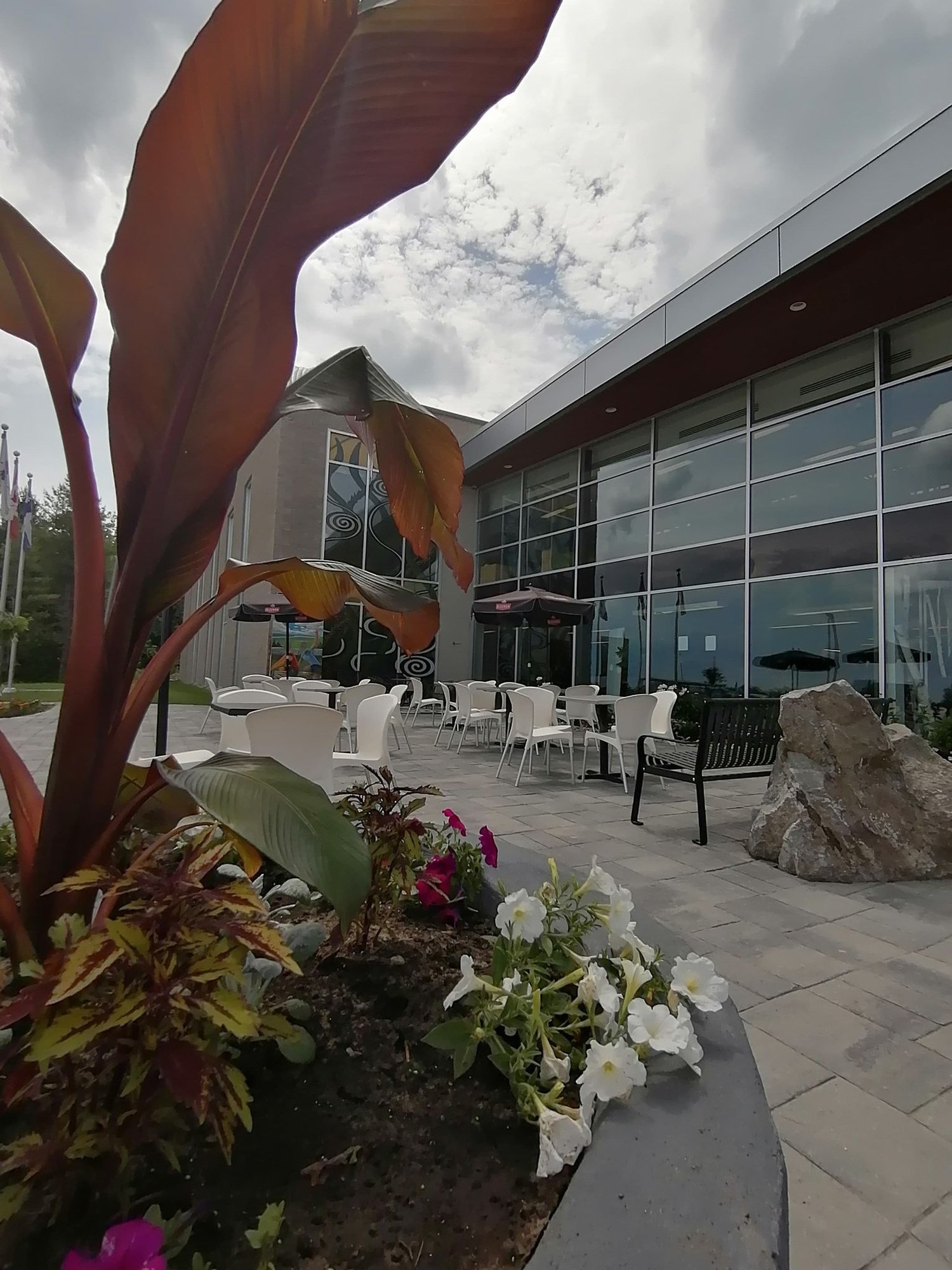 Fondation Chelsea Foundation | Chelsea, QC