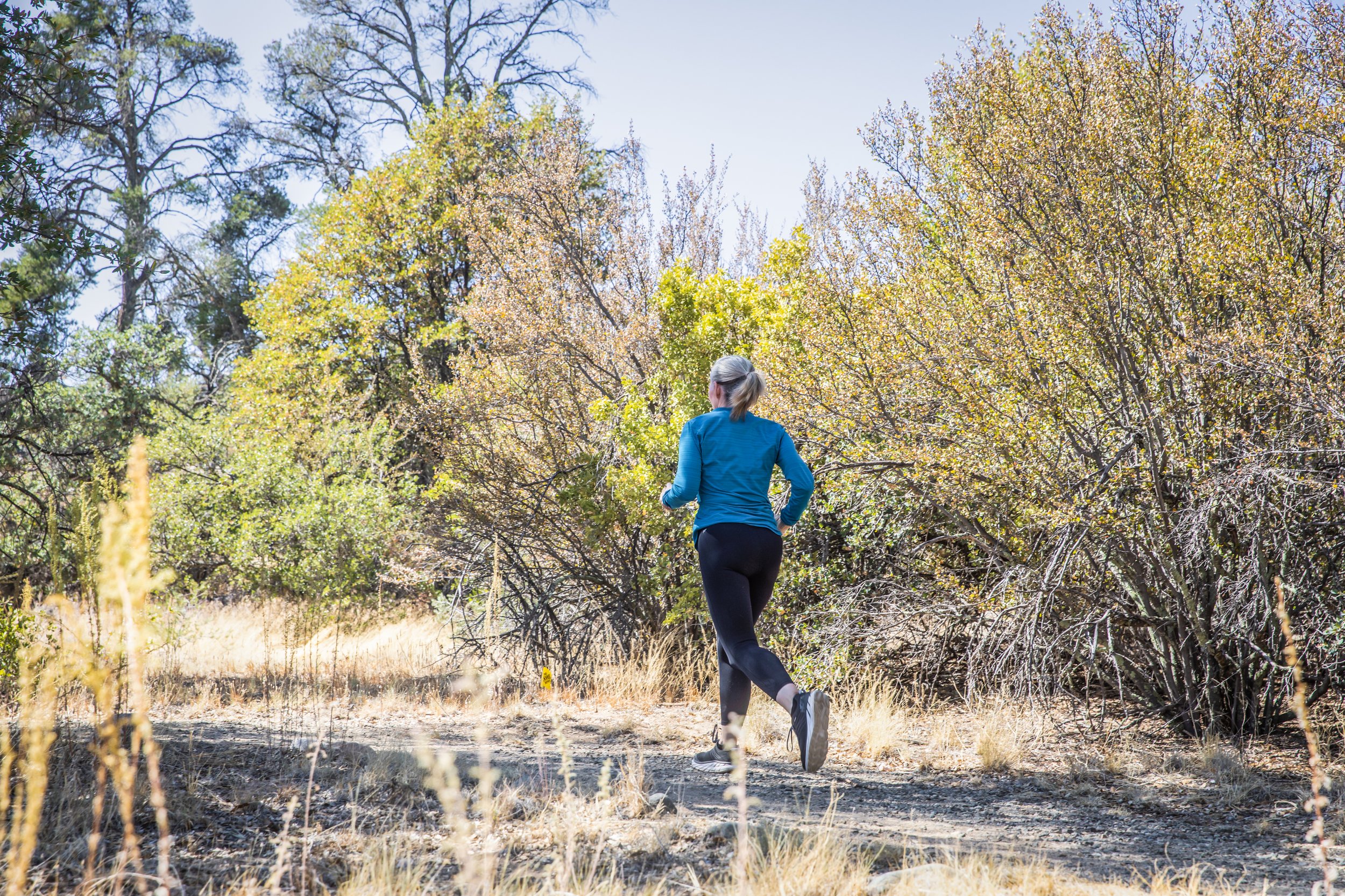 Services | Achieve Your Wellness Goals — Cathy Clements Fitness