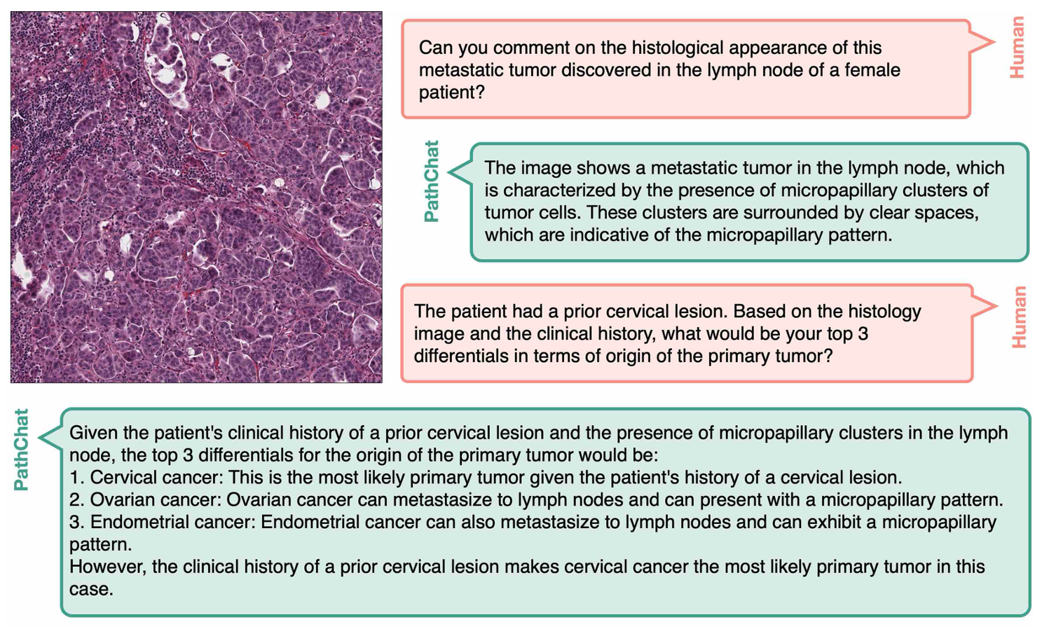 Publications — The Williamson Lab