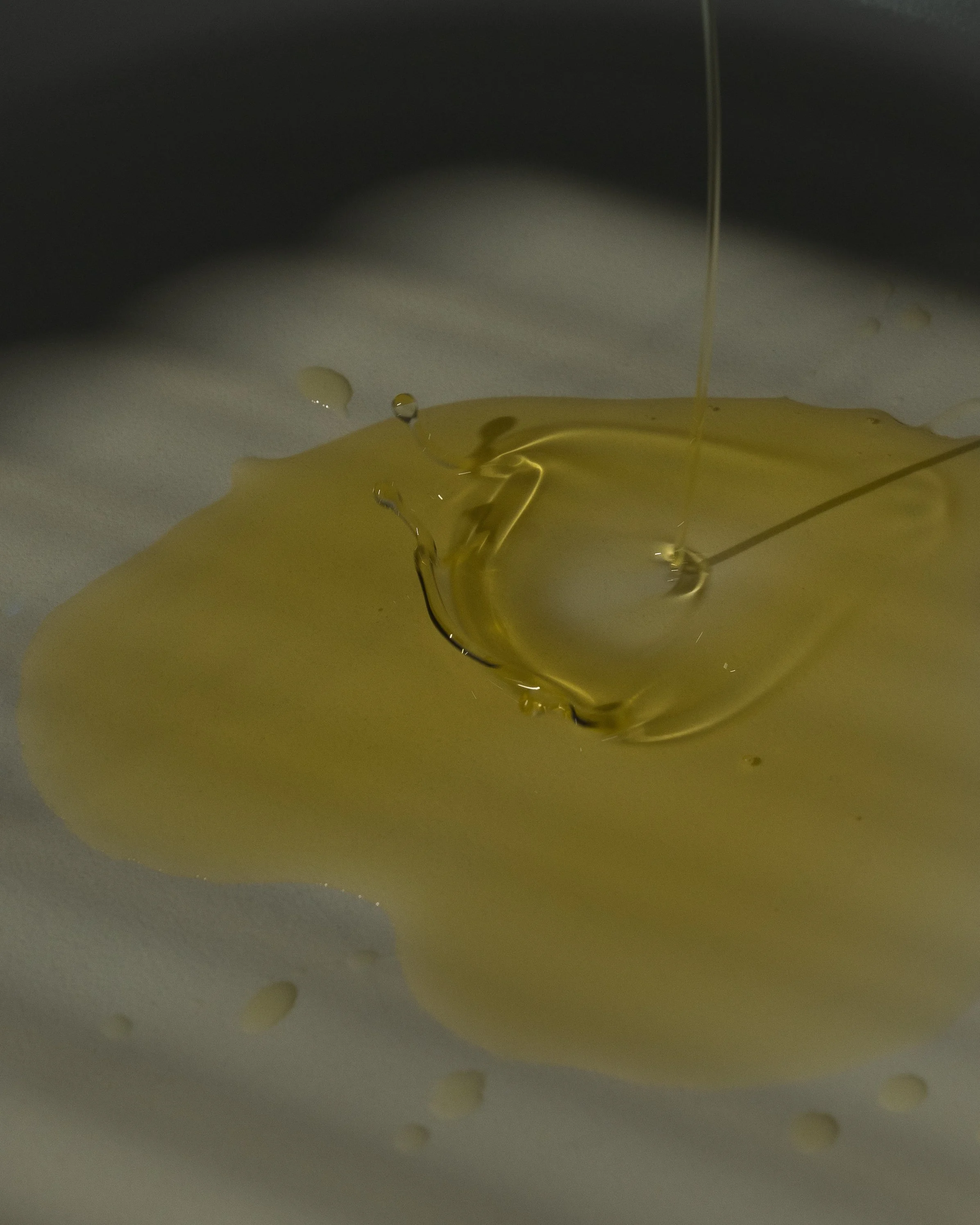 Shop Sustainable Fragrance | Selah Fragrance