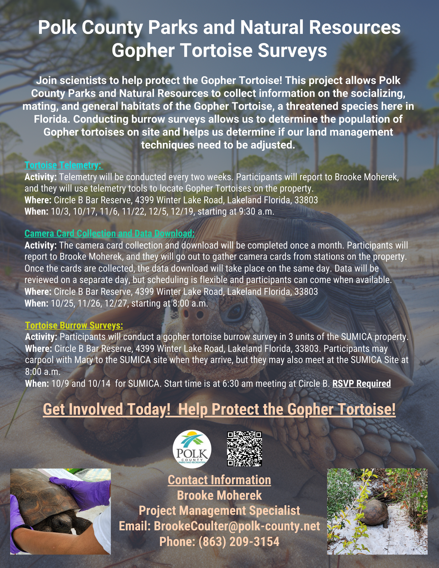 Polk County Florida Gopher Tortoise Protection Project ...