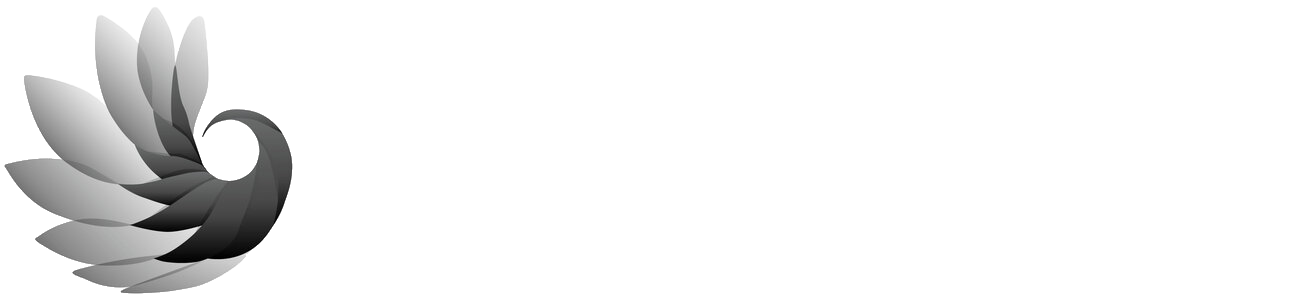 Ritu Raj | Phoenix-Based Contemporary Abstract Artist