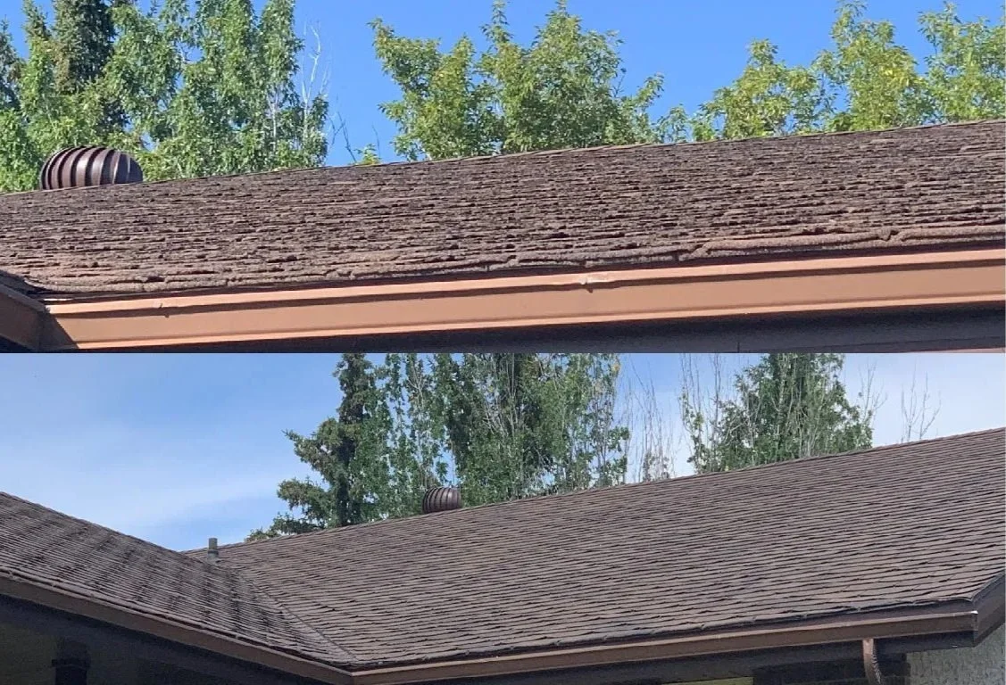 Before And After Images Of Roof Renew Treatment And Cleaning — Roof Restor