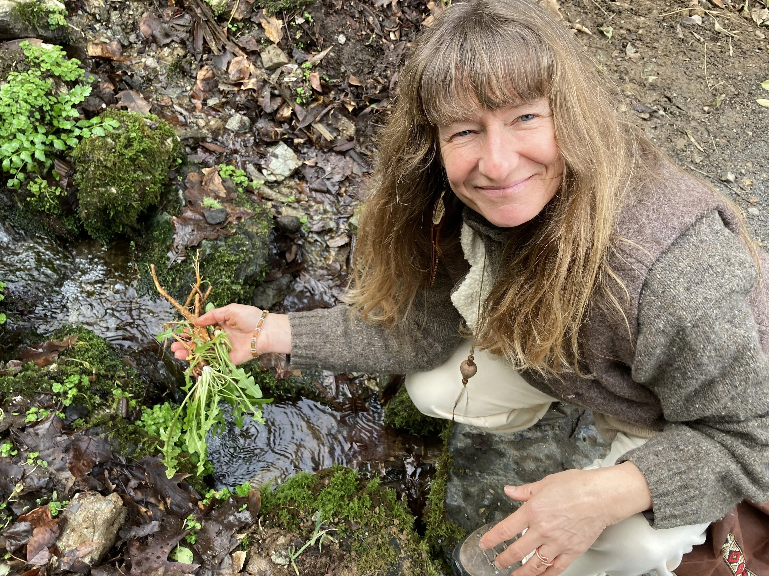 Spring Greens: An Introduction to Foraging — Embercombe