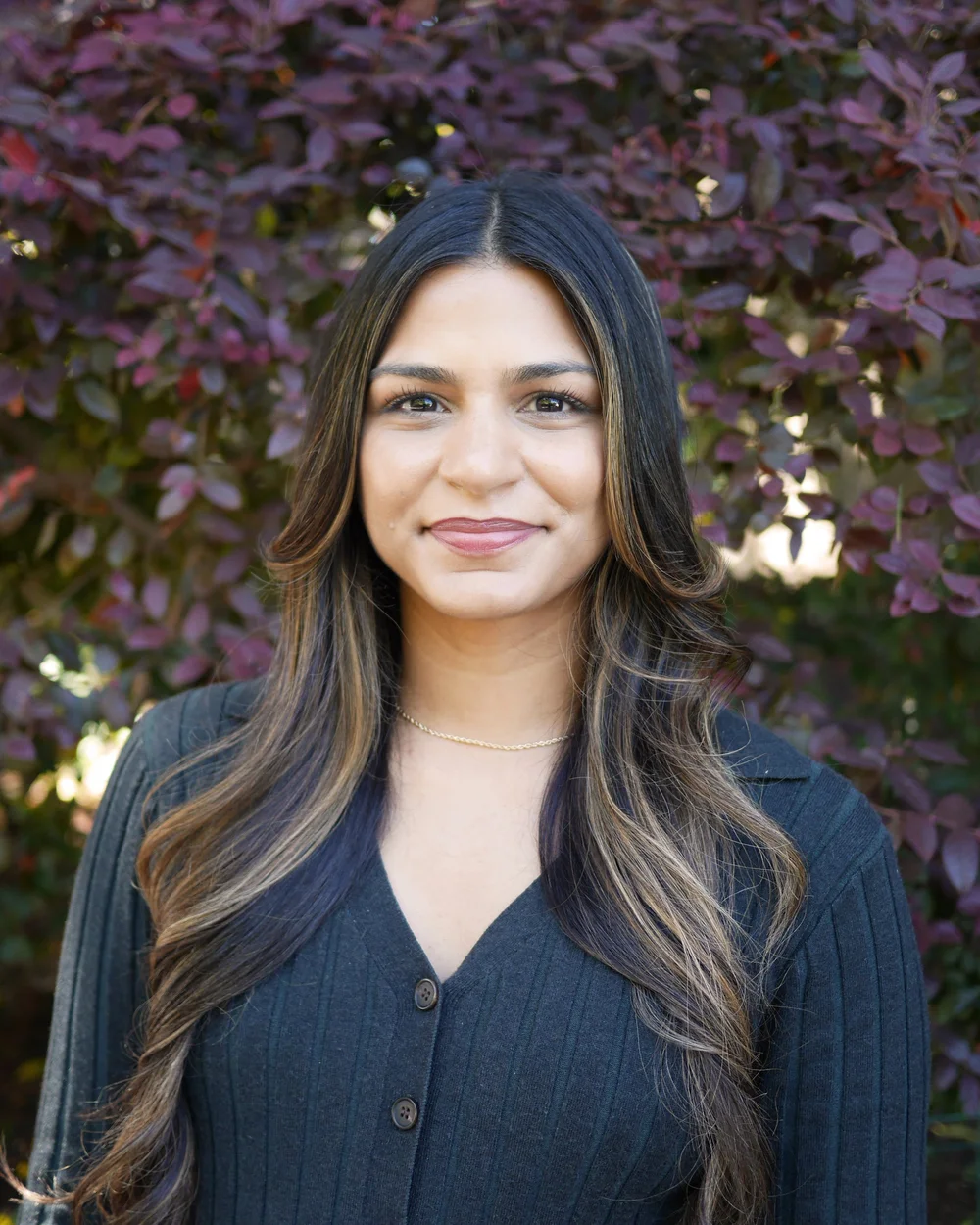 About Us — FULCRUM