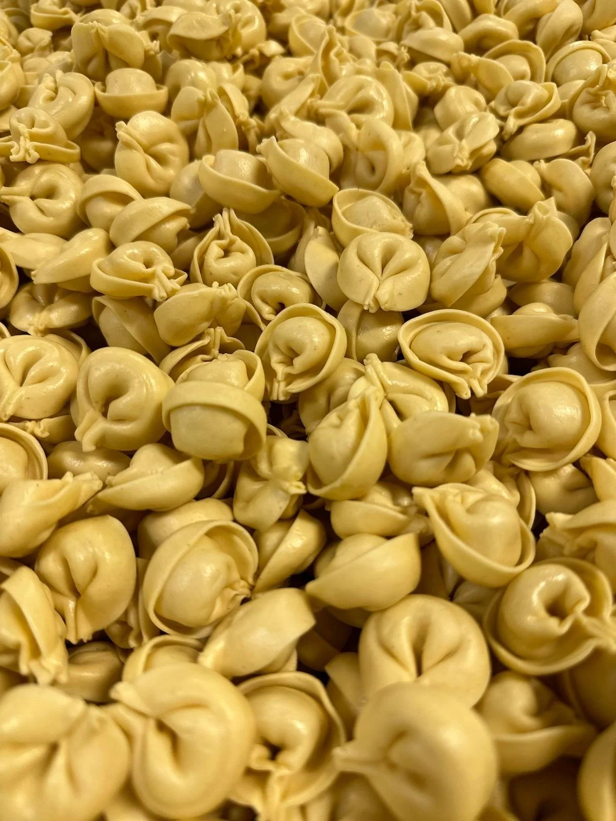 Fresh Italian Gourmet Pasta & Sauces — Wholesale & Retail | Zara's ...