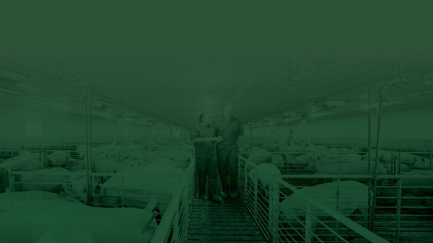 News & Updates — Passel Farms