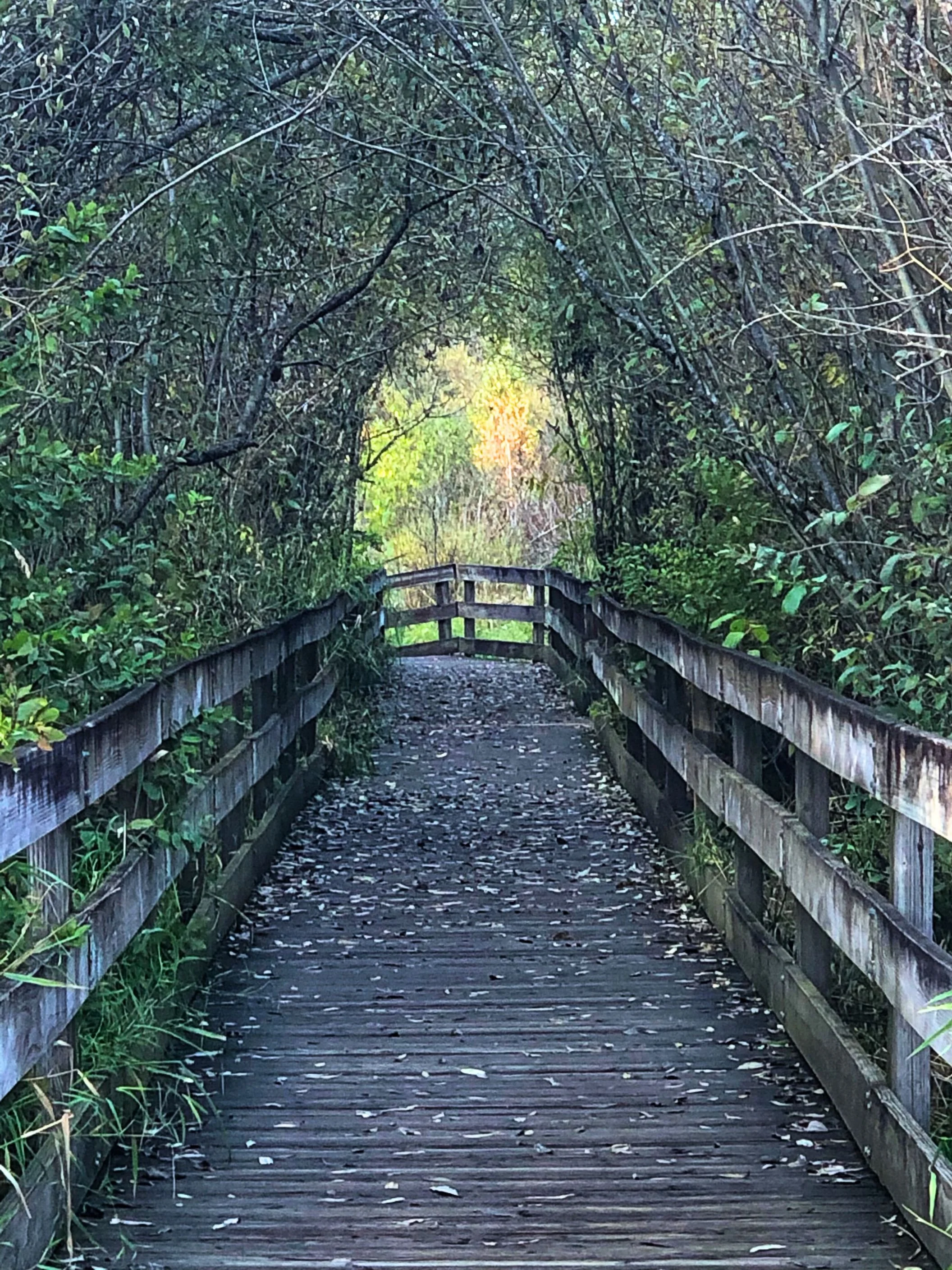 Center for Contemporary Mussar | Explore Mussar Practice Today