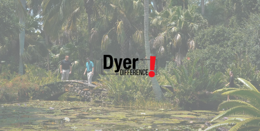 About The Dyer Difference Award — Dyer Difference