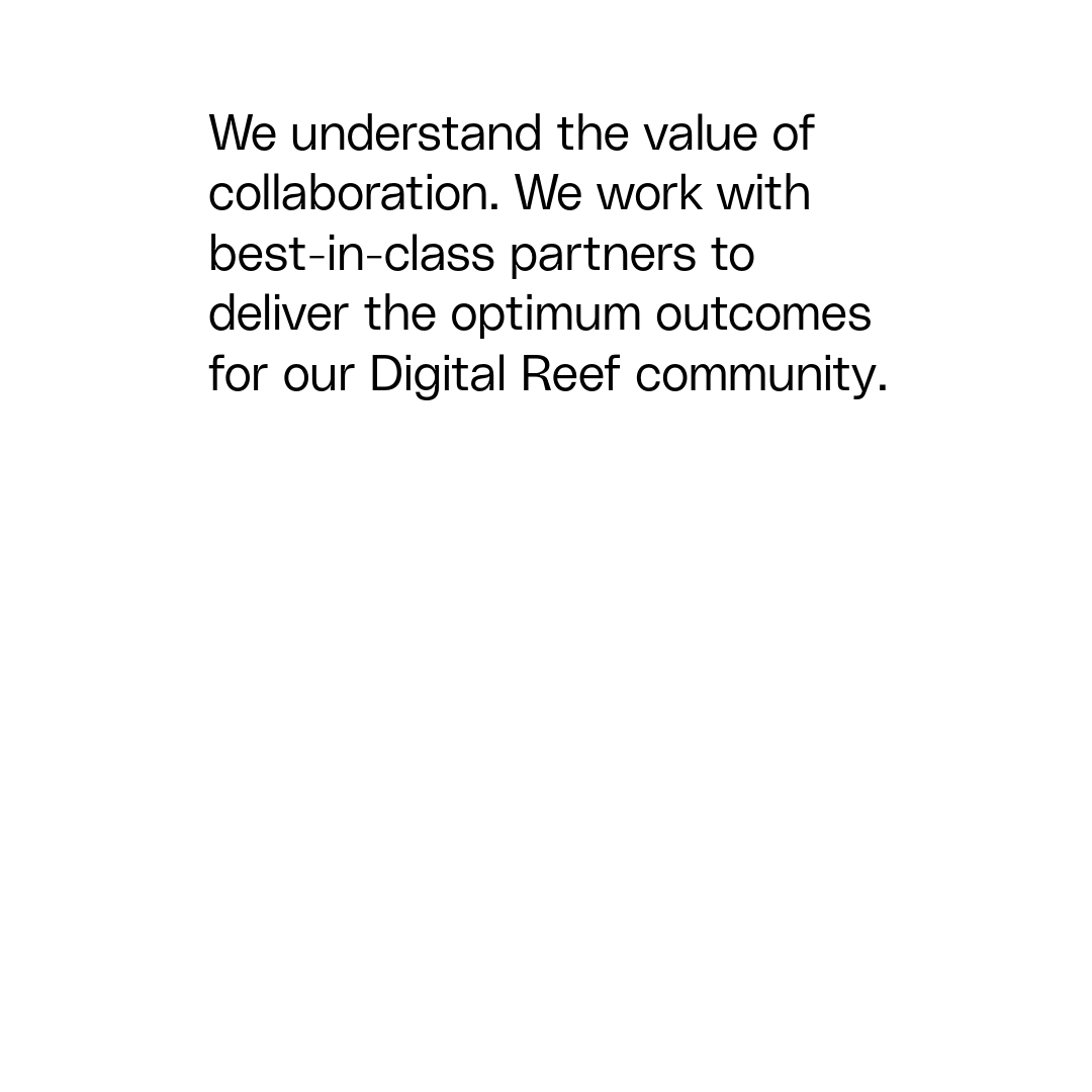 Digital Reef | Where Digital Meets Place | Sustainable Data