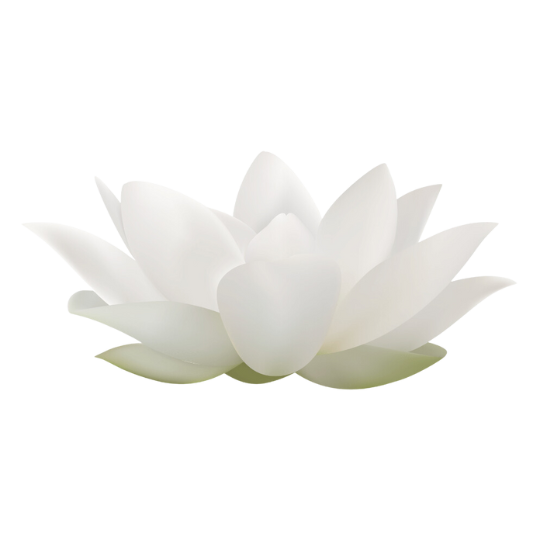 Teachings — C. Clinton Sidle