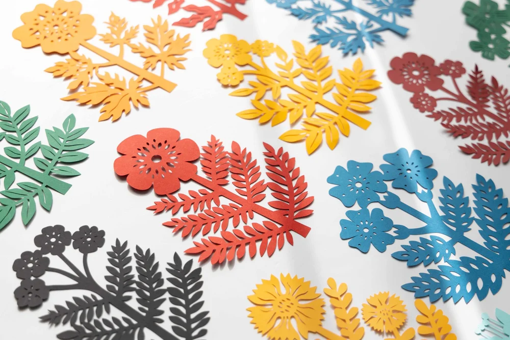 Marina Papercuts