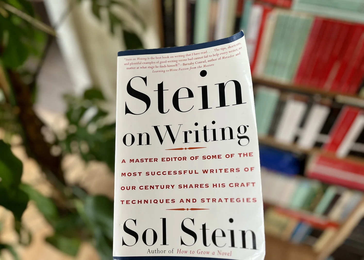 How to Self-Edit Your Novel: Tips for Tightening Prose from Sol Stein ...