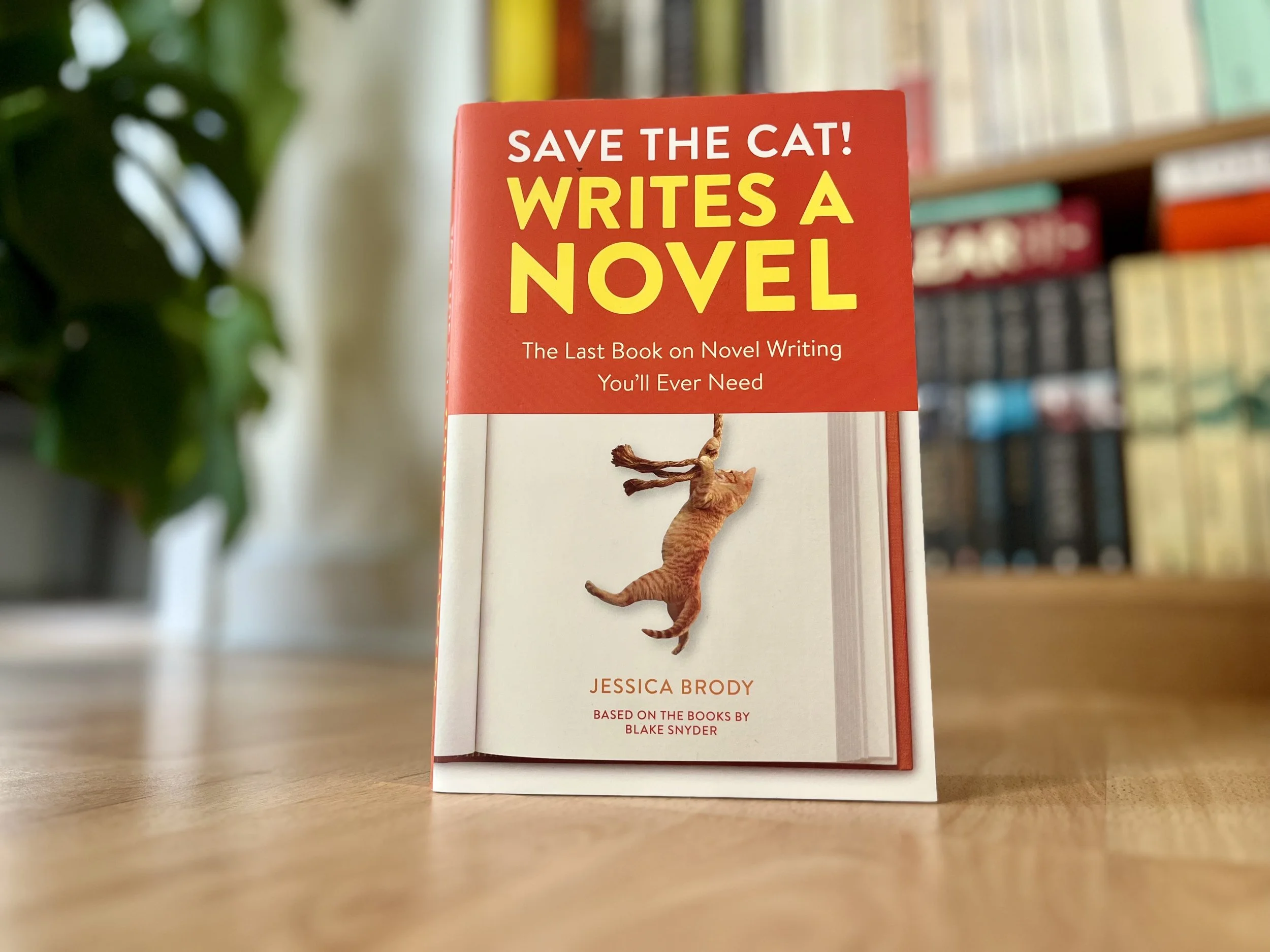 Save the Cat! Writes a Novel: Review for New Fiction Writers | Elyse ...