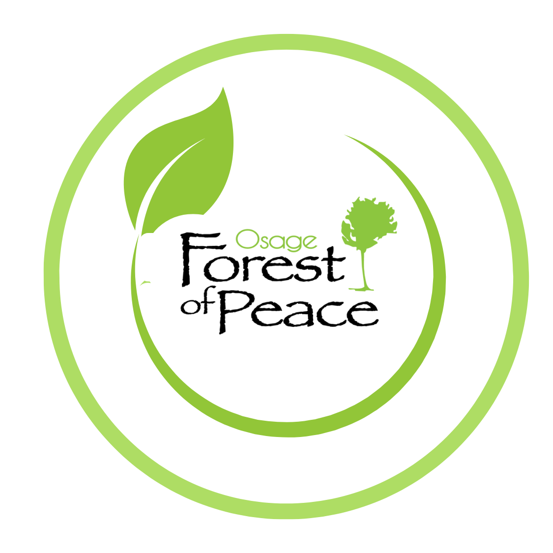 Forest of Peace | Experience Peace - Book Your Retreat Today