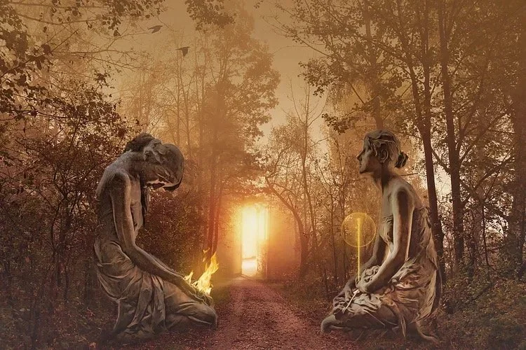 Forest of Peace