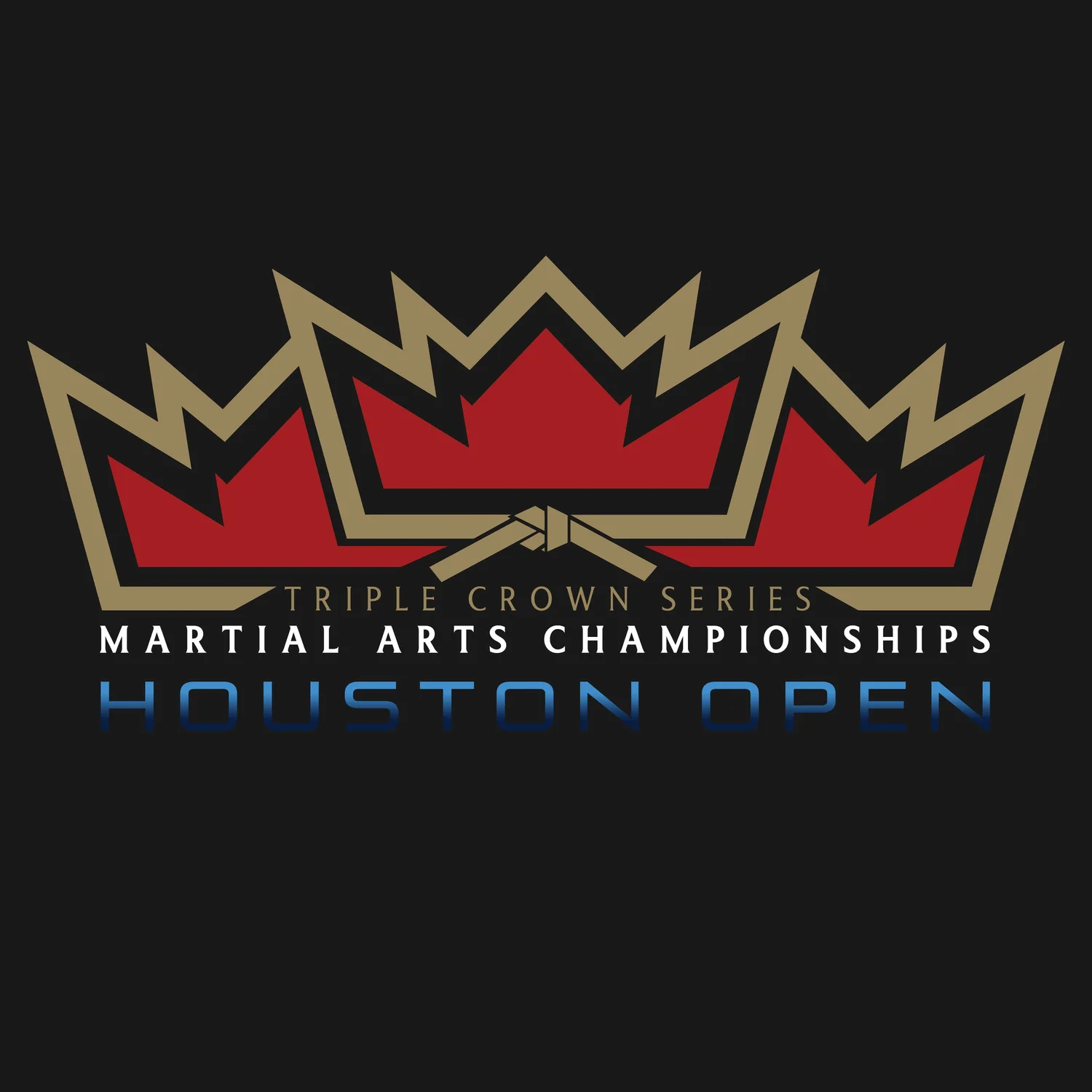 Houston Open Martial Arts Championships