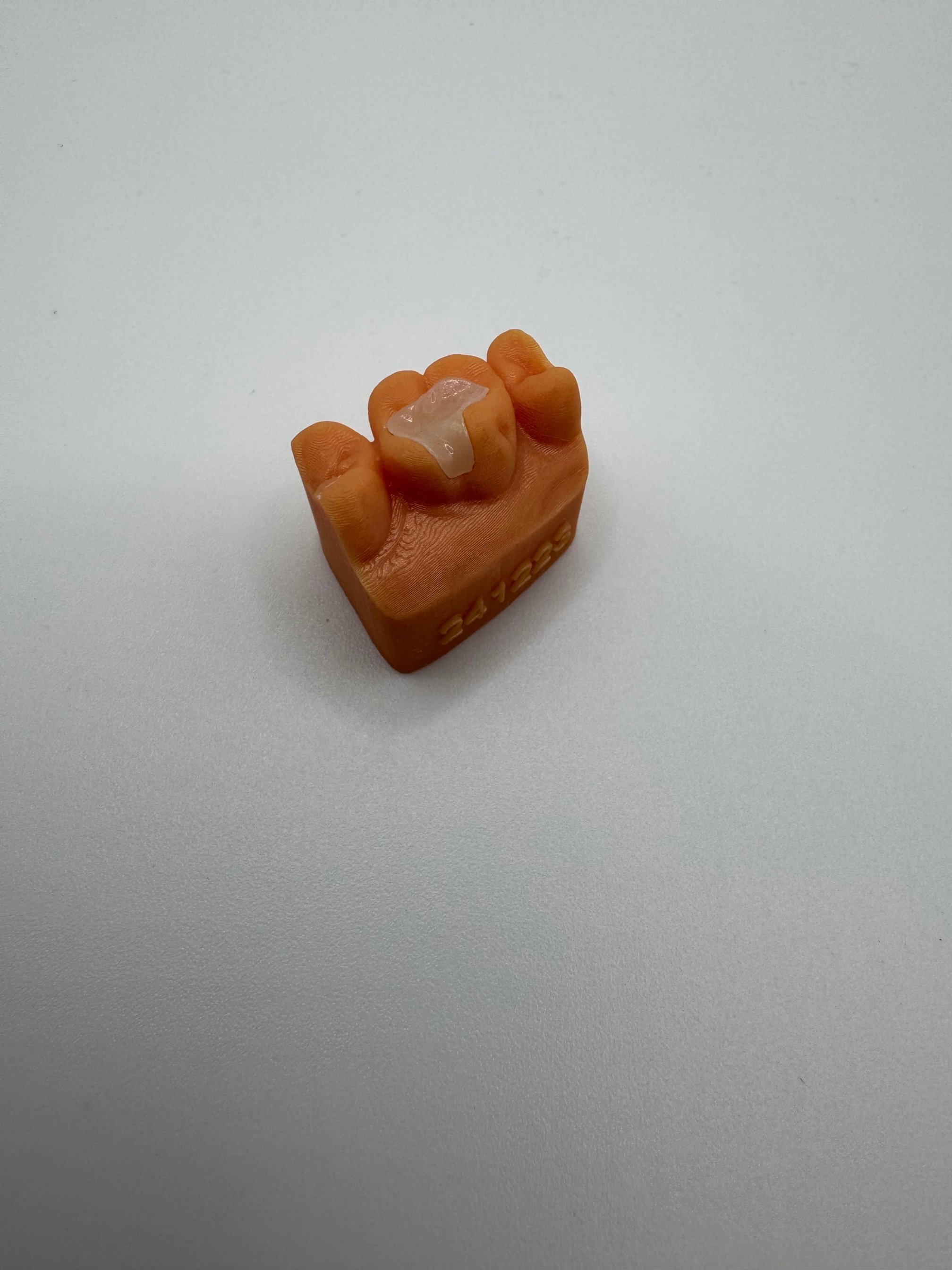 Cases — Pearl Dental Lab