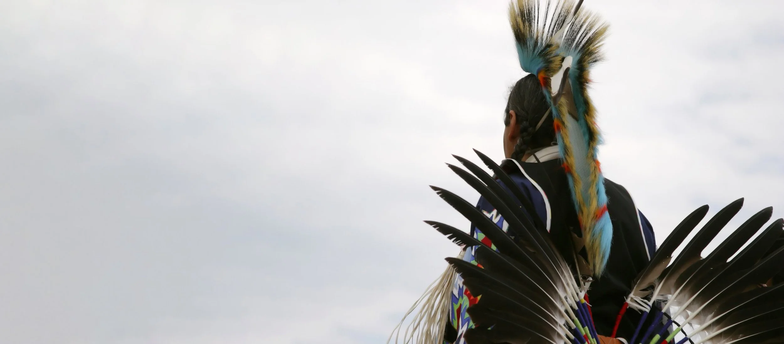 Indigenous Power & Light Fund