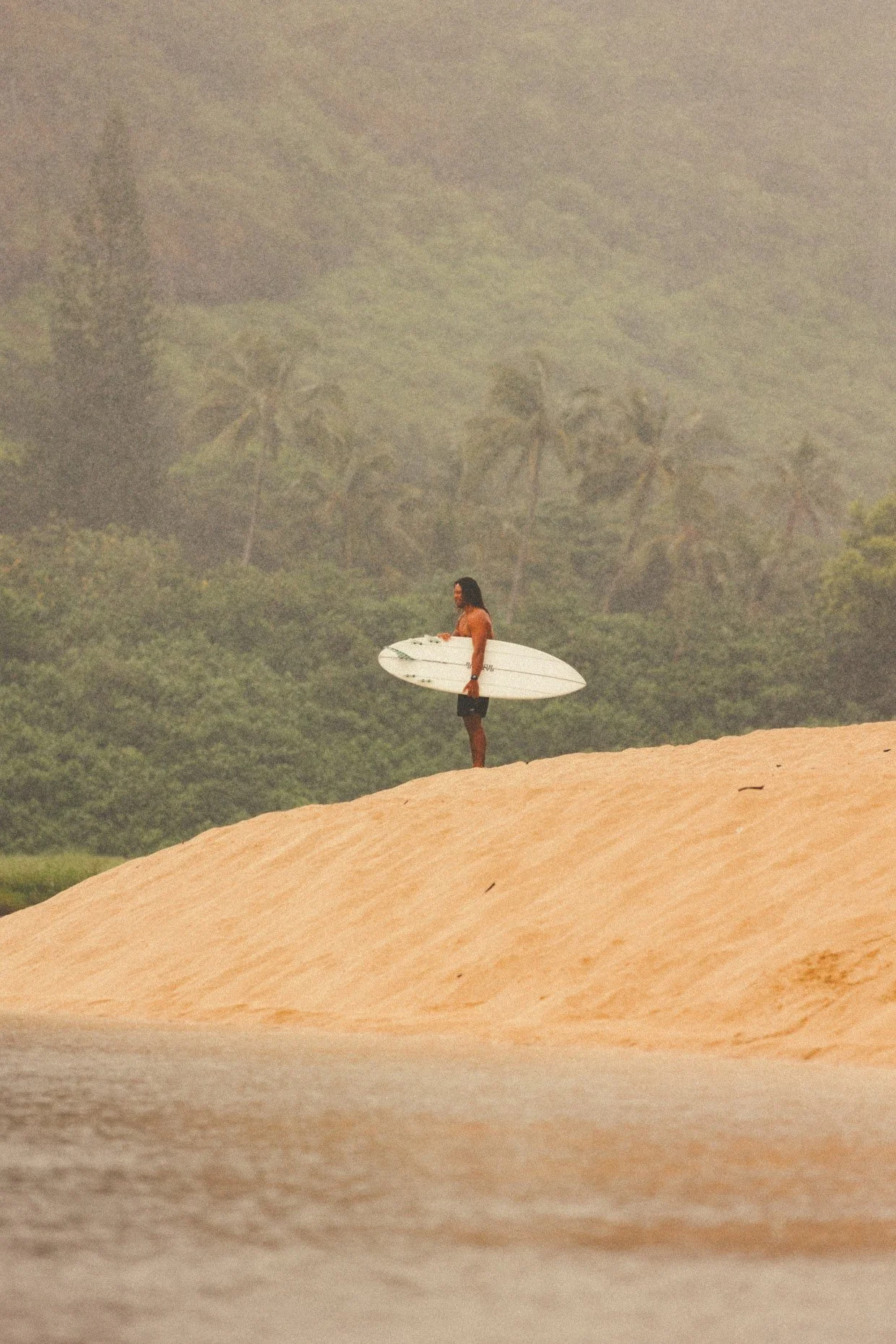 mid fin co. | Limited Edition Surfboard Fins