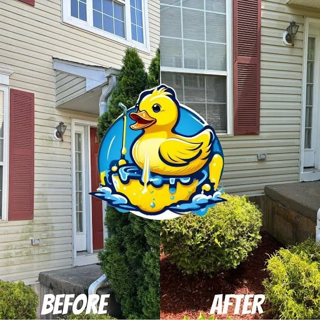 Squeaky Clean Power Washing LLC