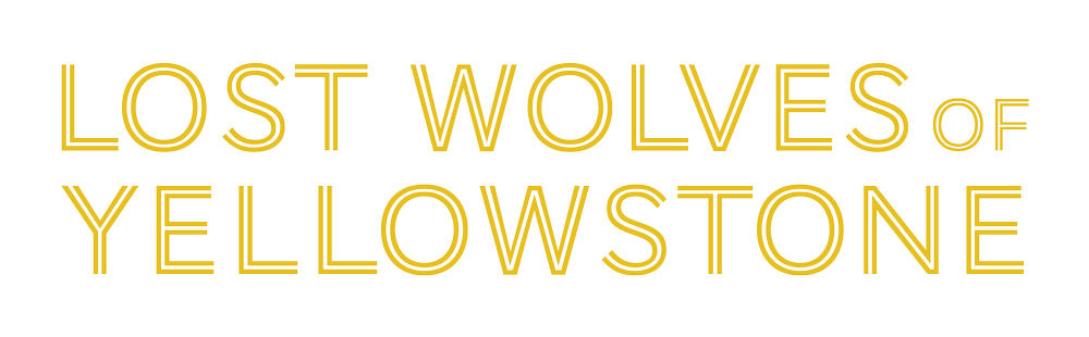 Lost Wolves of Yellowstone — Grizzly Creek Films