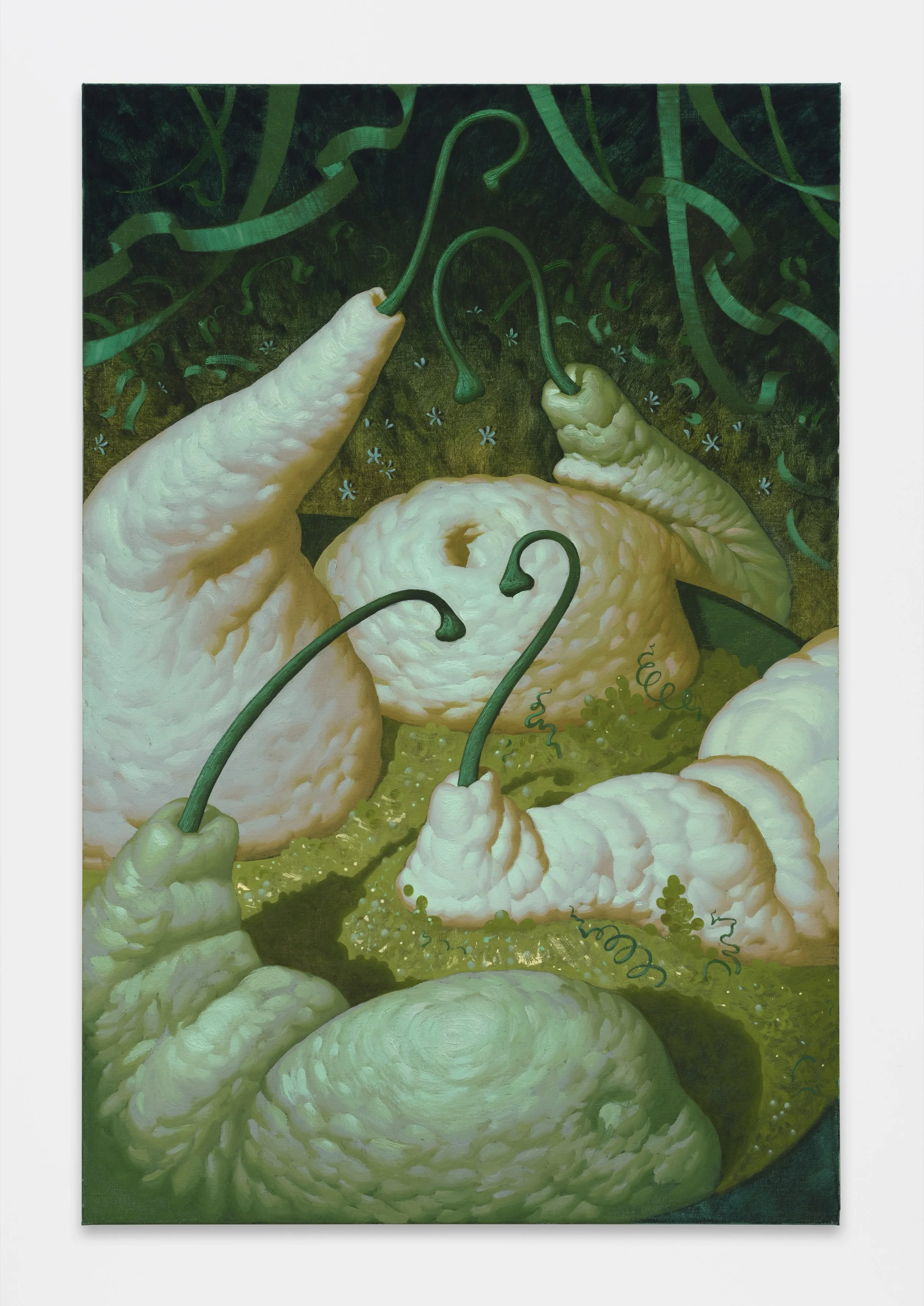 Piper Bangs - Fruiting Body — | Megan Mulrooney