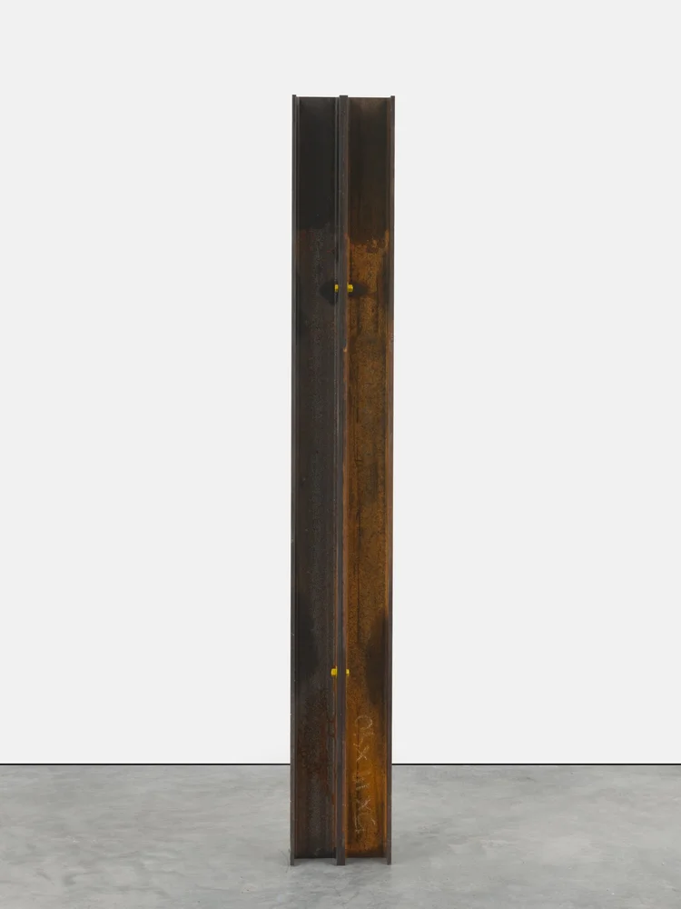 Ethan Cook - The Arc Between Two Deaths — | Megan Mulrooney