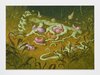 Piper Bangs - Fruiting Body — | Megan Mulrooney