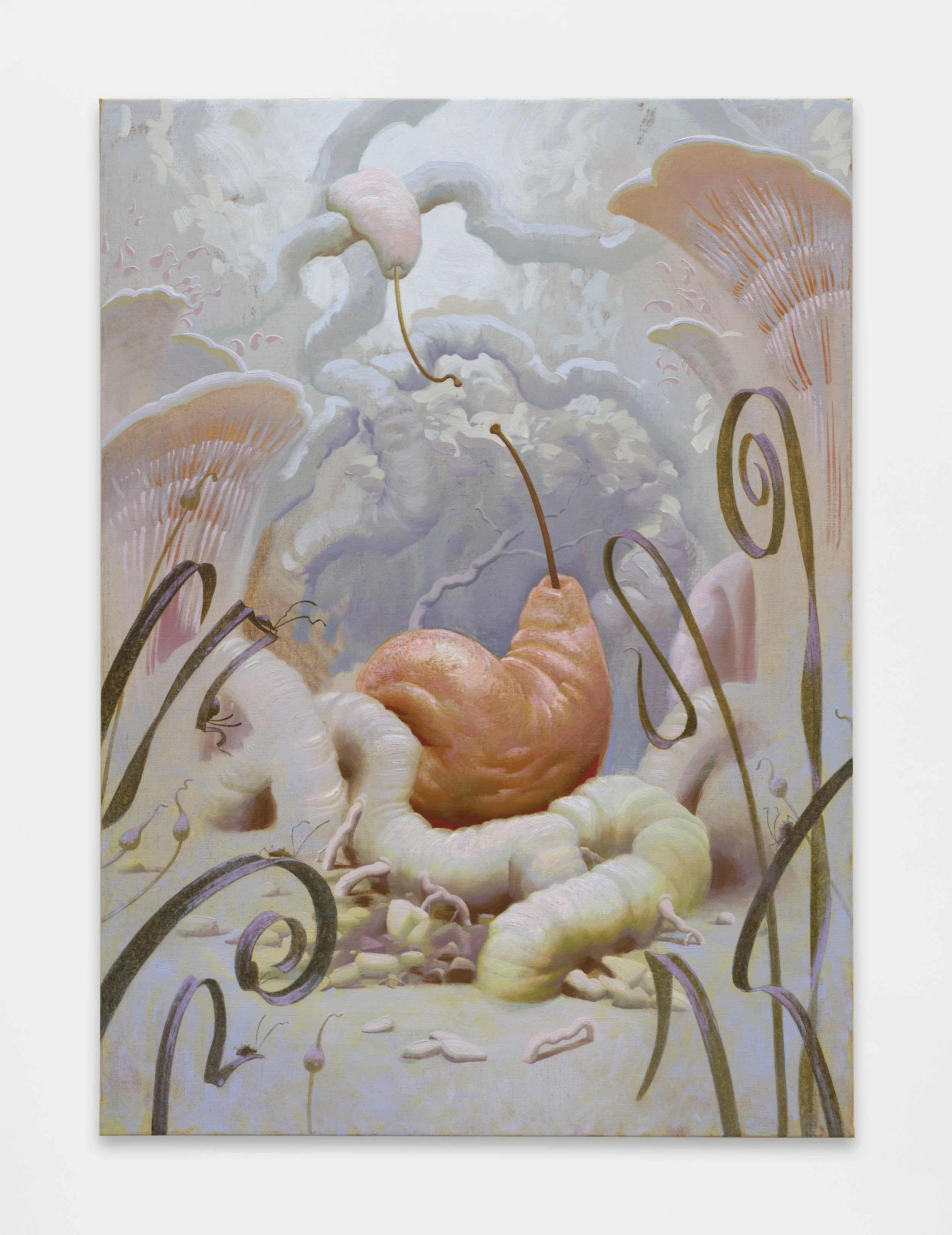 Piper Bangs - Fruiting Body — | Megan Mulrooney