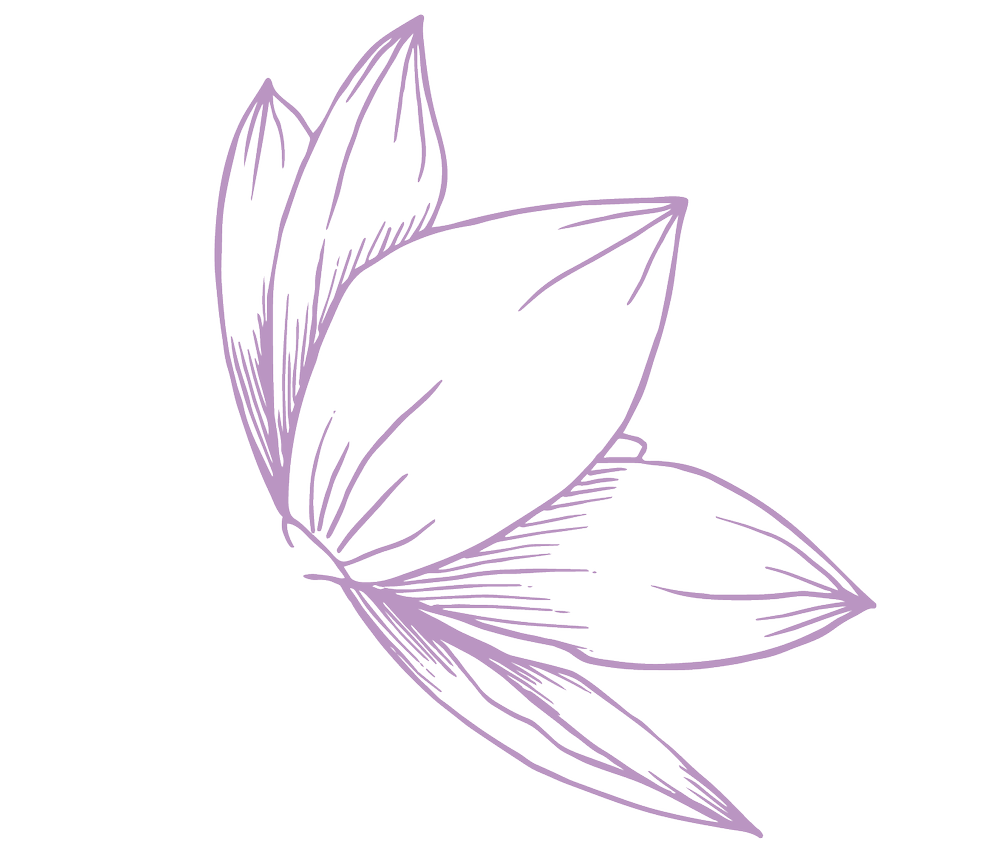 About Us — Lady Bits Physical Therapy